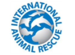 International Animal Rescue | Animal Rescue, Centres & Homes - Animals ...